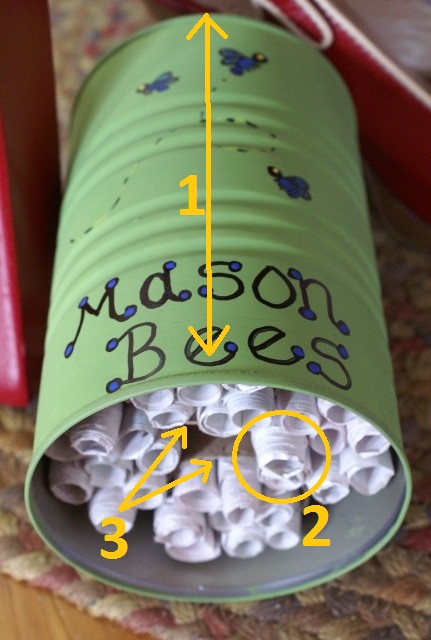 DIY: Make a Bee House with Recycled Materials - Pacifica Beach Coalition